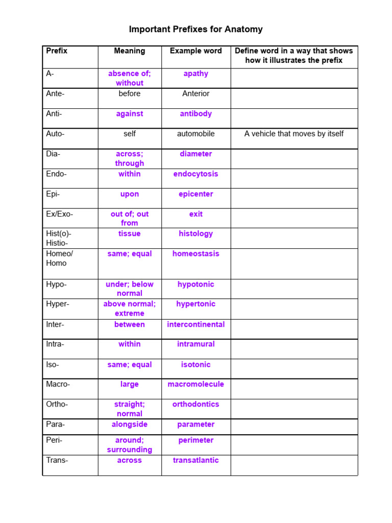 Anatomy Prefixes and Suffixes Guide | PDF | Osteoblast | Bone