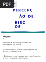Segurança no Trabalho: Percepção de Risco | PDF