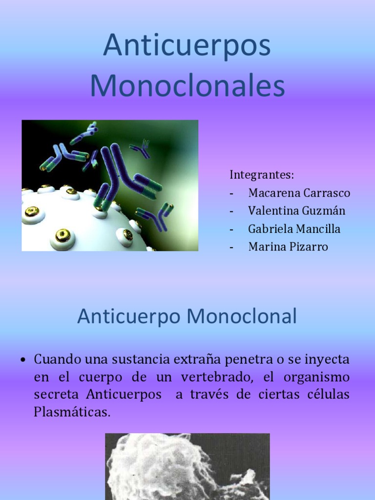 Anticuerpos Monoclonales | PDF | Anticuerpo Monoclonal | Anticuerpo