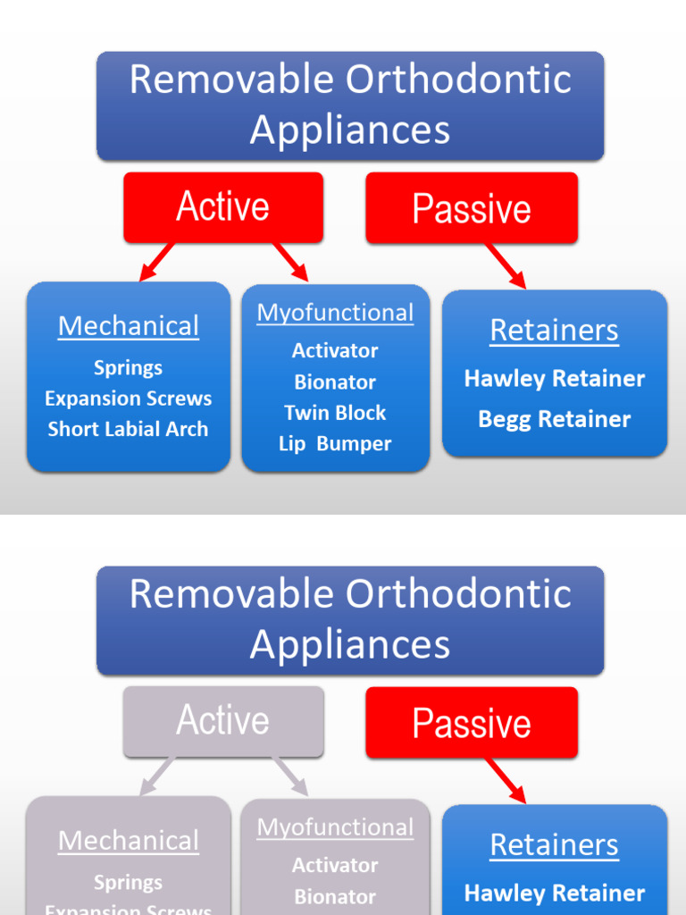 2 - Passive Removable Appliances and Adams Clasp | PDF | Orthodontics ...