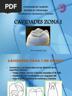 Línea Alba Oclusal | PDF | Enfermedades y trastornos | Boca