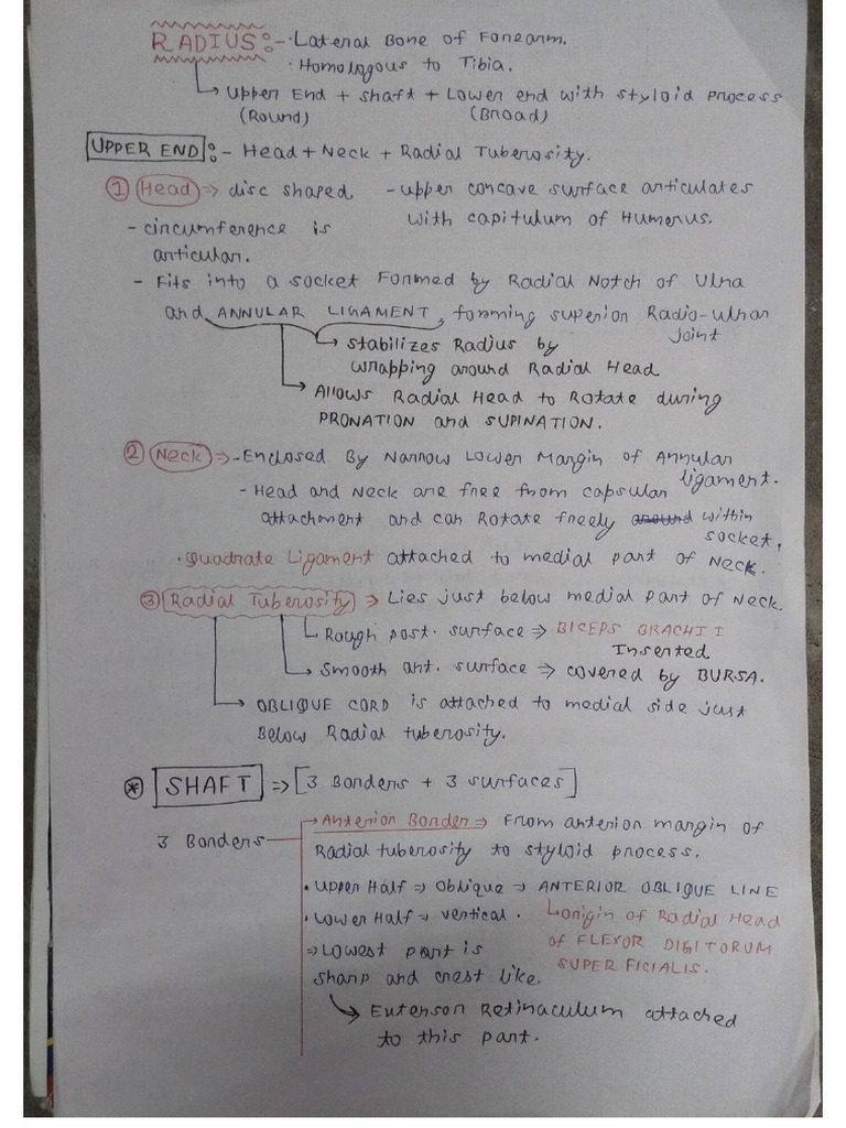 Radius Notes | PDF
