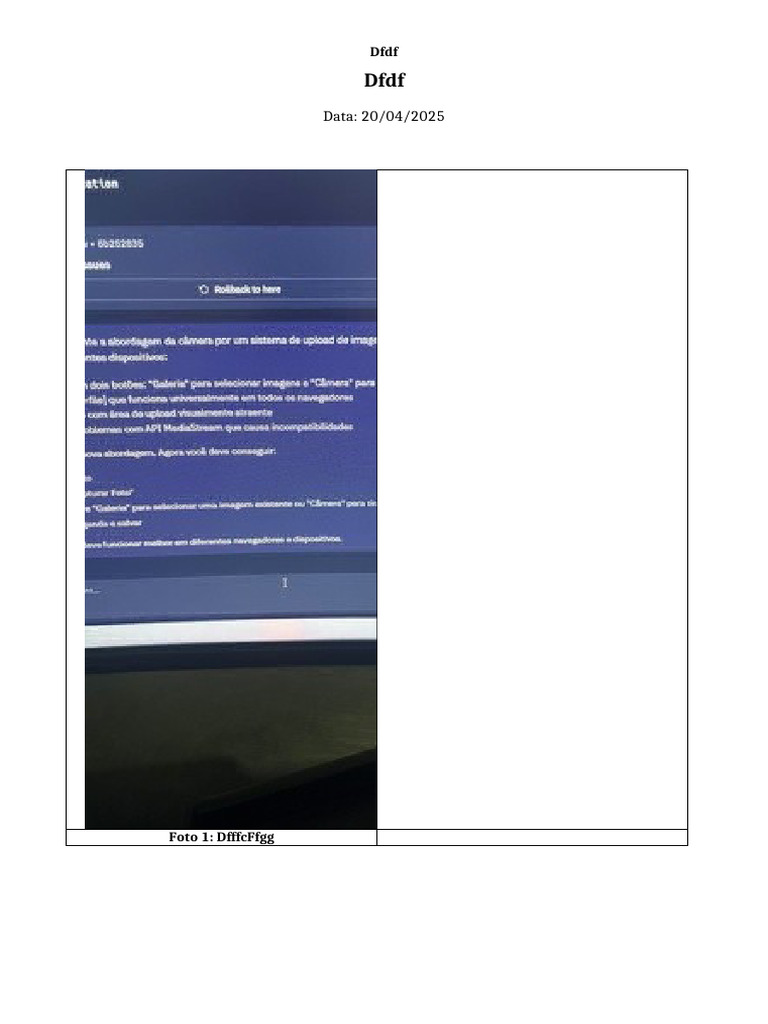 DFDF Report | PDF
