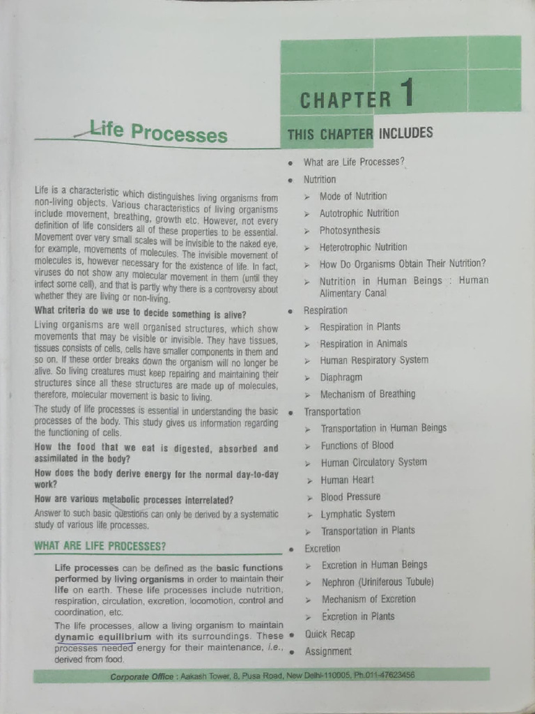 Life Processes - Akash | PDF