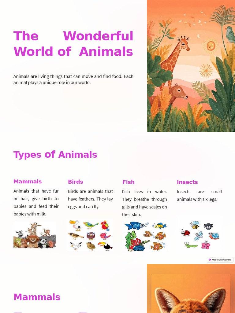 The Wonderful World of Animals | PDF