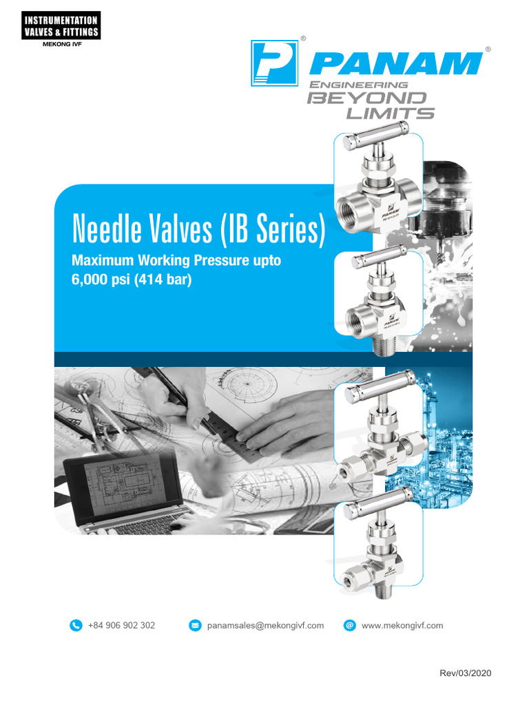 IB Series Needle Valves Overview | PDF | Valve | Pipe (Fluid Conveyance)