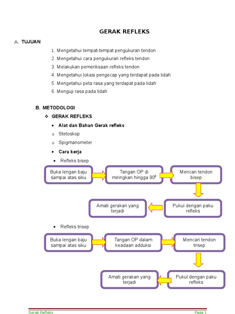 Gerak Refleks | PDF