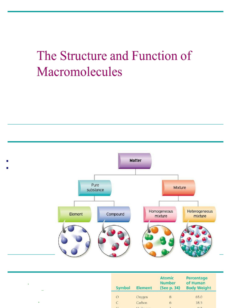 Structure and Function of Macromolecules | PDF | Water | Properties Of ...