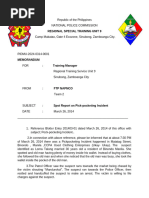Example PNP Police Report | PDF