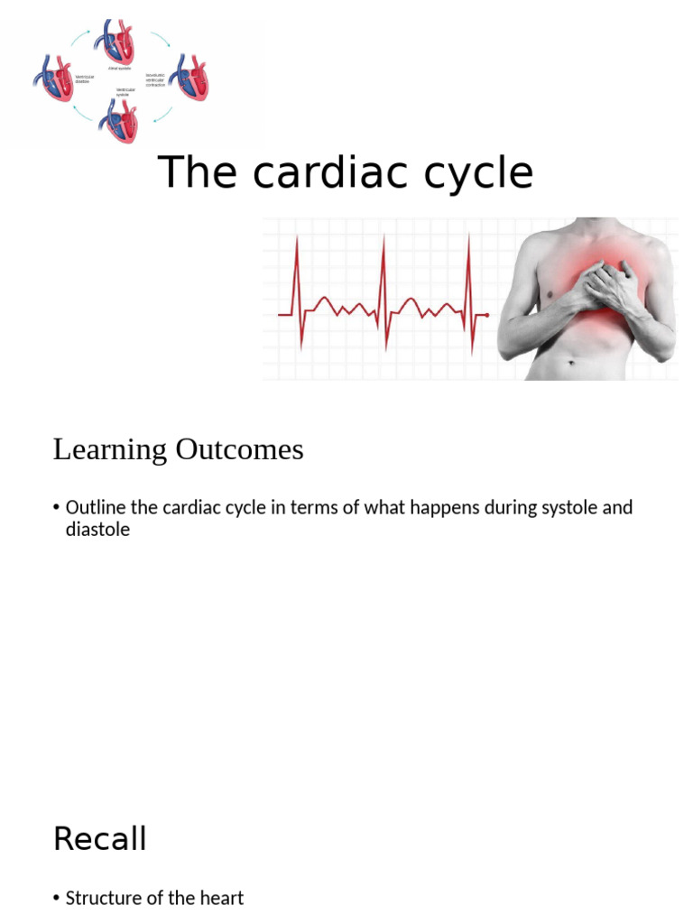 8.6 The Cardiac Cycle (Double Circulation in Mammals) | PDF | Ventricle ...