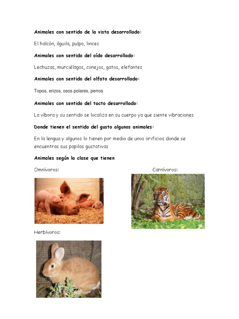 Animales Con Sentidos | PDF | Artes del Lenguaje y Comunicación ...