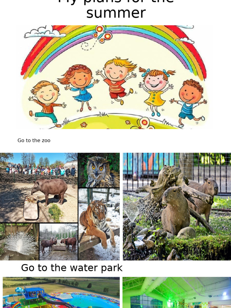 My Plans For The Summer | PDF