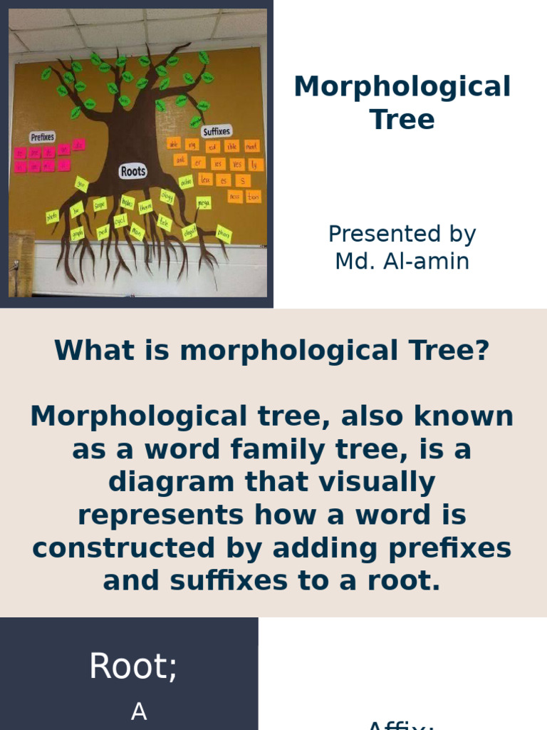 Morphological Tree | PDF