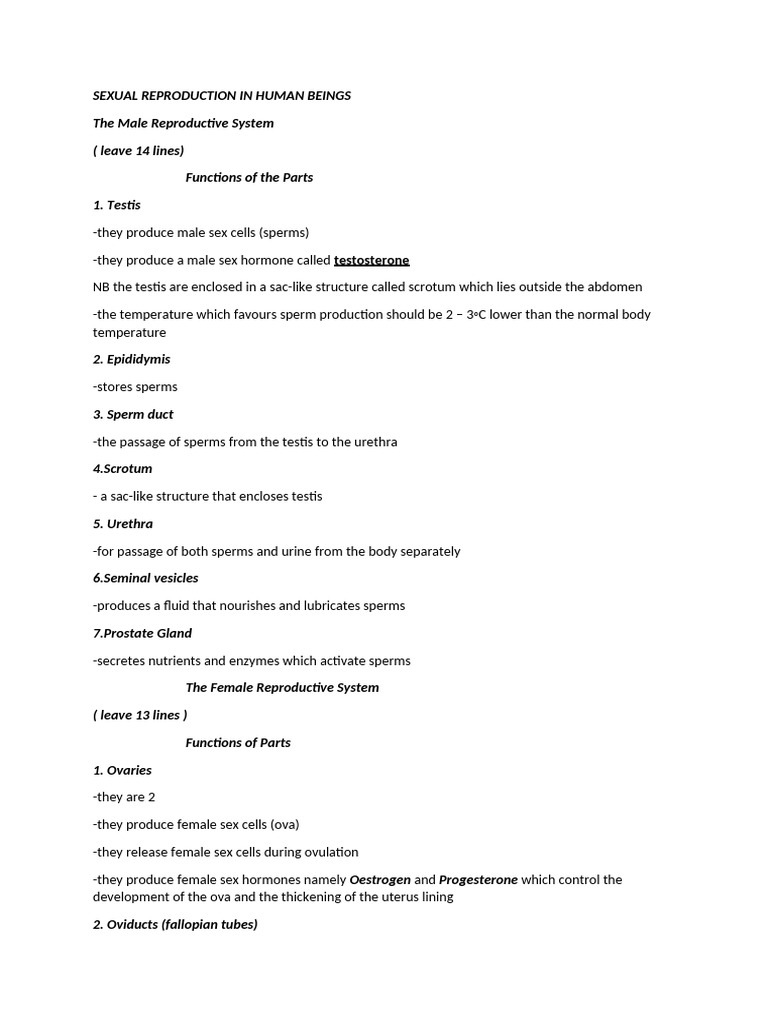 Human Sexual Reproduction Overview | PDF | Menstrual Cycle | Fertilisation