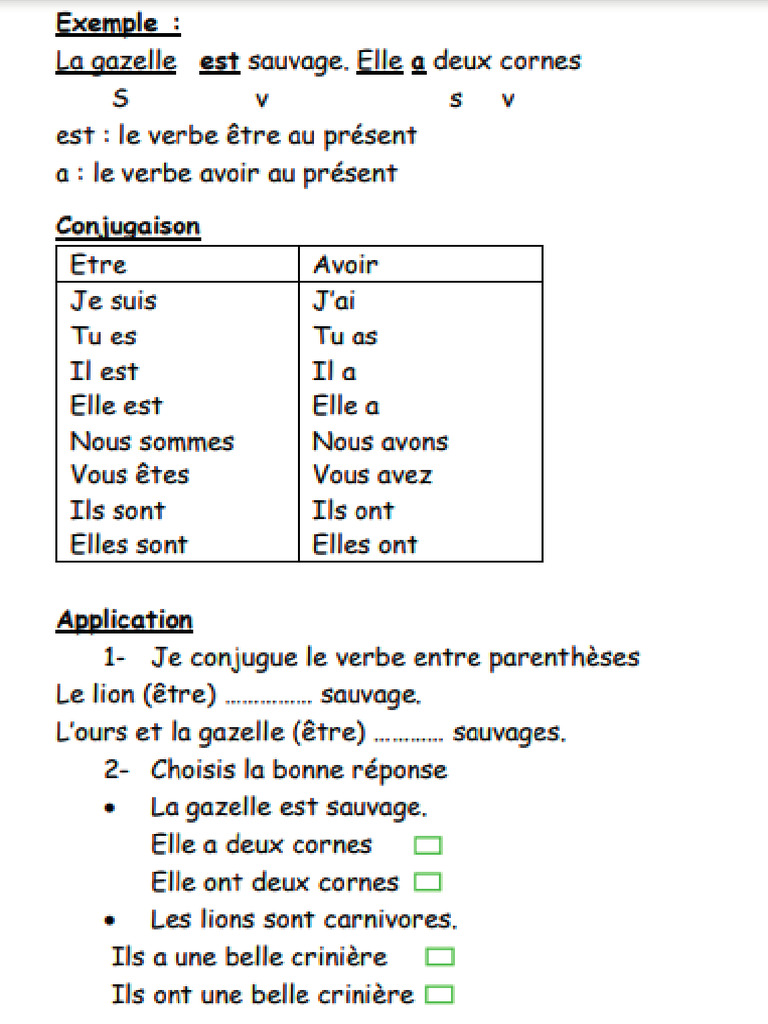 Le Verbe Avoir | PDF