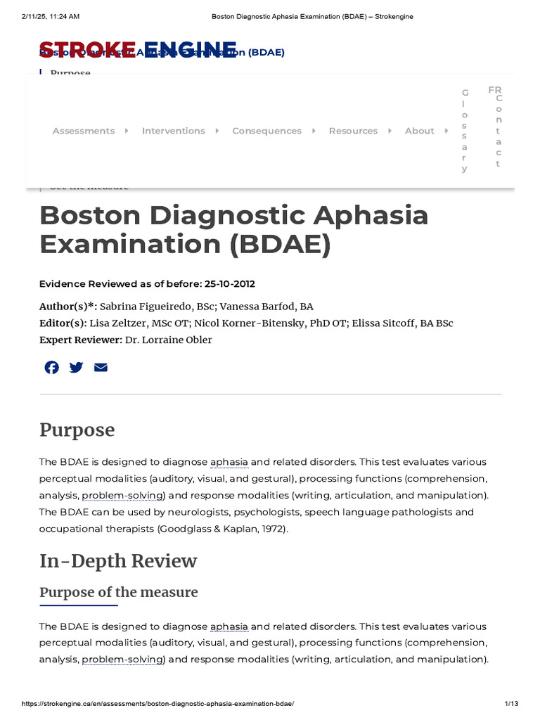 Boston Diagnostic Aphasia Examination (BDAE) - Strokengine | PDF ...