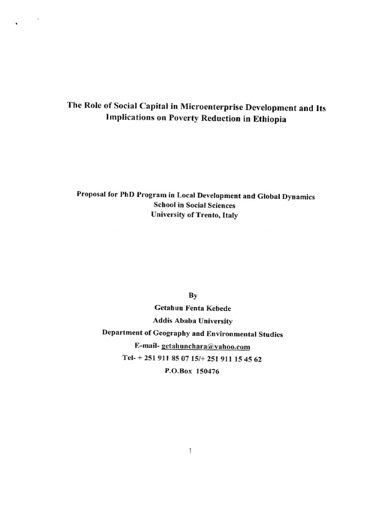 Proposal On Social Capital | PDF