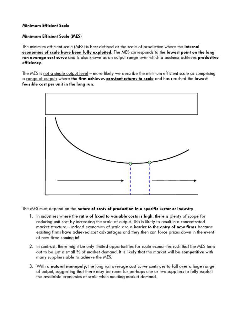 Understanding Minimum Efficient Scale | PDF