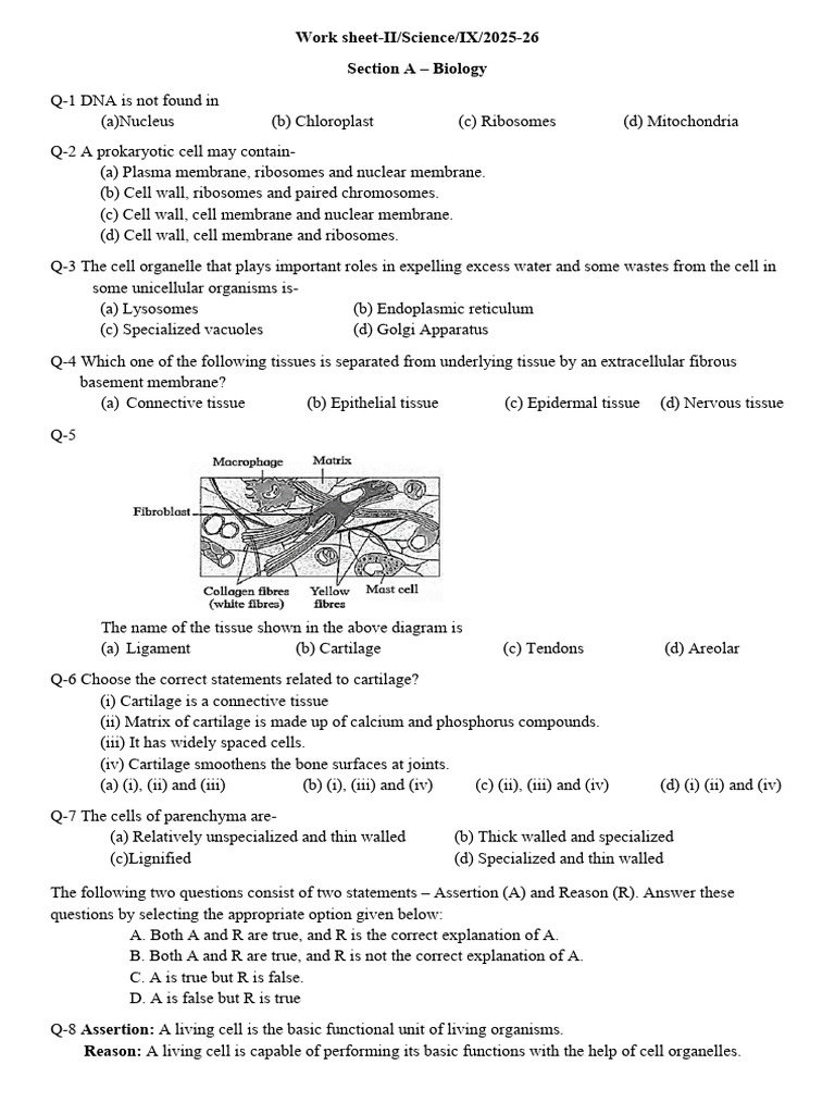 Work Sheet-2 Class 9 Science | PDF | Acceleration | Cell (Biology)