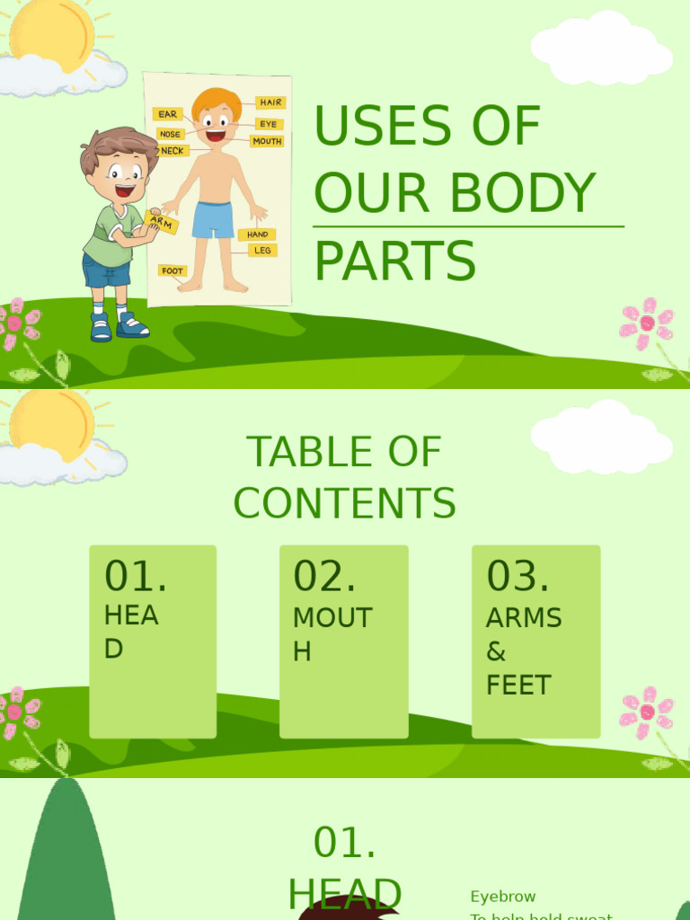 Uses of Our Body Parts | PDF