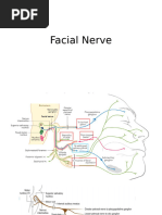Line Bisection and Star Cancellation Test | PDF