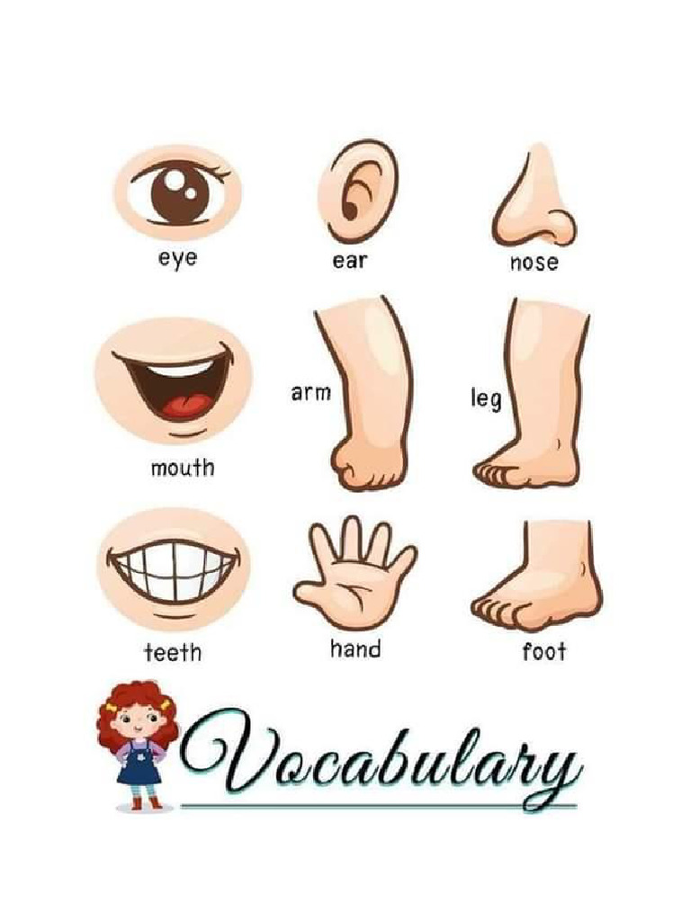 Everyday Vocabs | PDF