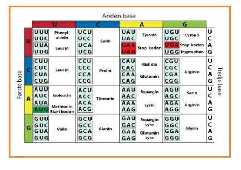Basa Nitrogen Protein | PDF