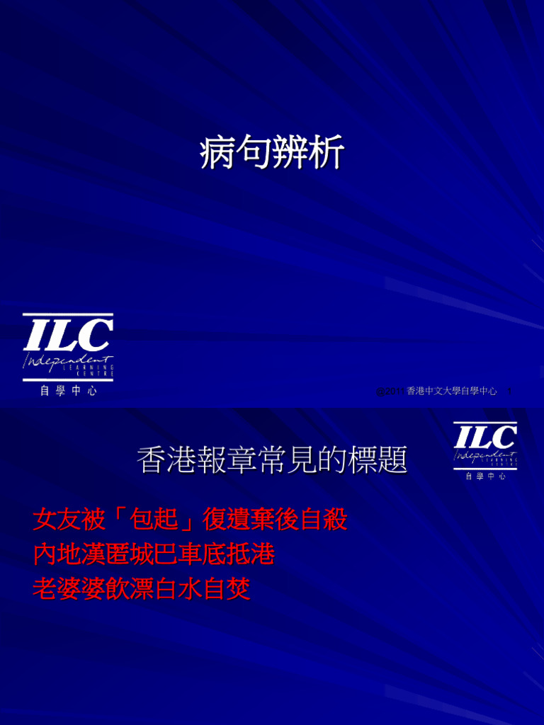 Erroneous Sentences | PDF