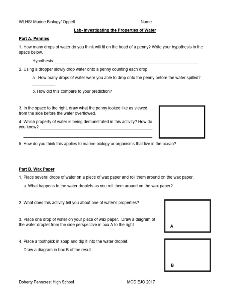 Water Properties Lab for Marine Biology | PDF | Chemical Polarity | Water
