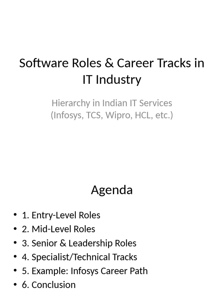 Software Roles and Tracks Presentation | PDF