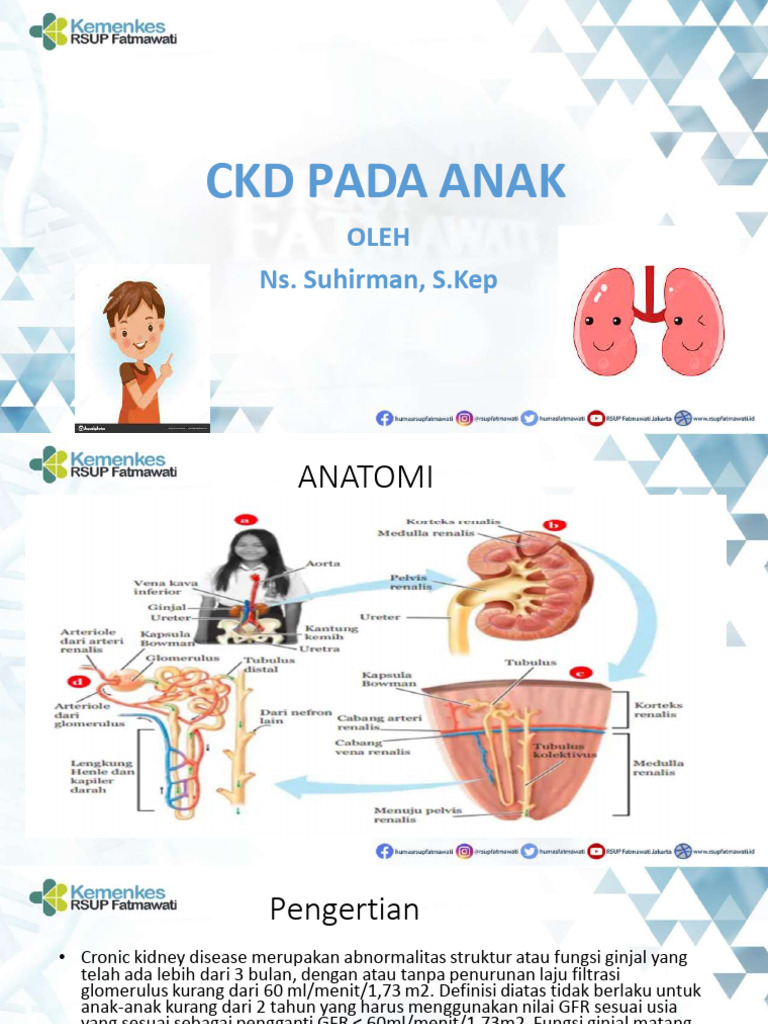 CKD pada Anak: Ciri dan Penanganan | PDF