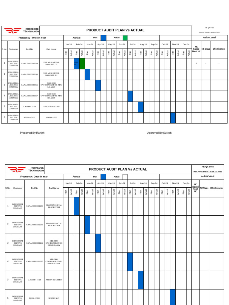 Product Audit - New (2024) | PDF