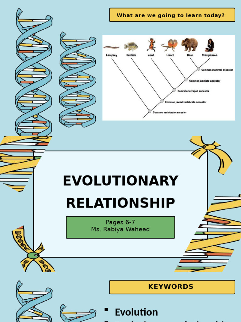 Week 3 - Lesson 1 - Evolutionary Relationship | PDF | Dna | Nucleotides
