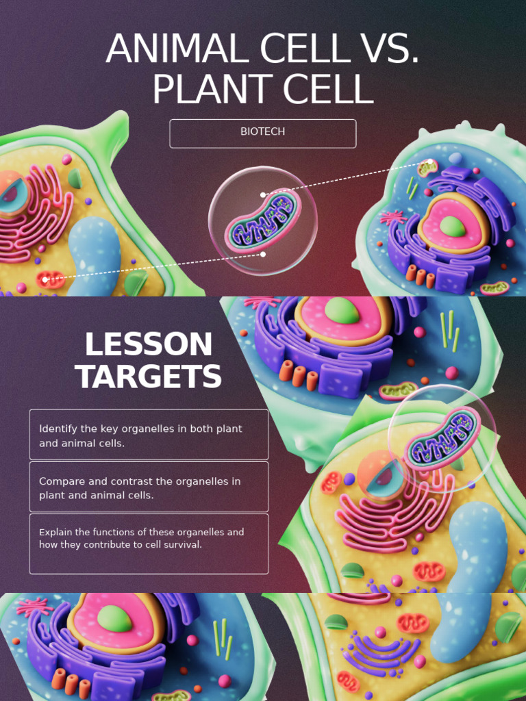 Animal vs. Plant Cell Comparison | PDF | Cell (Biology) | Organelle