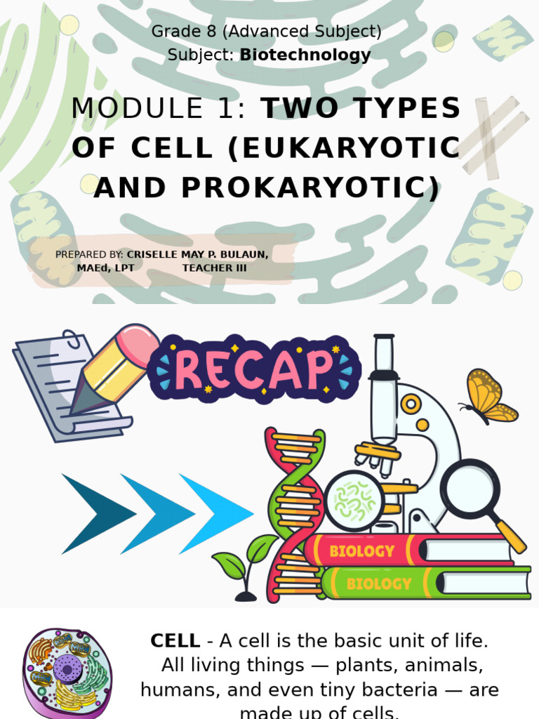 Eukaryotic vs Prokaryotic Cells Explained | PDF | Cell (Biology ...