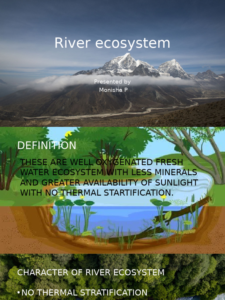 River Ecosystem | PDF
