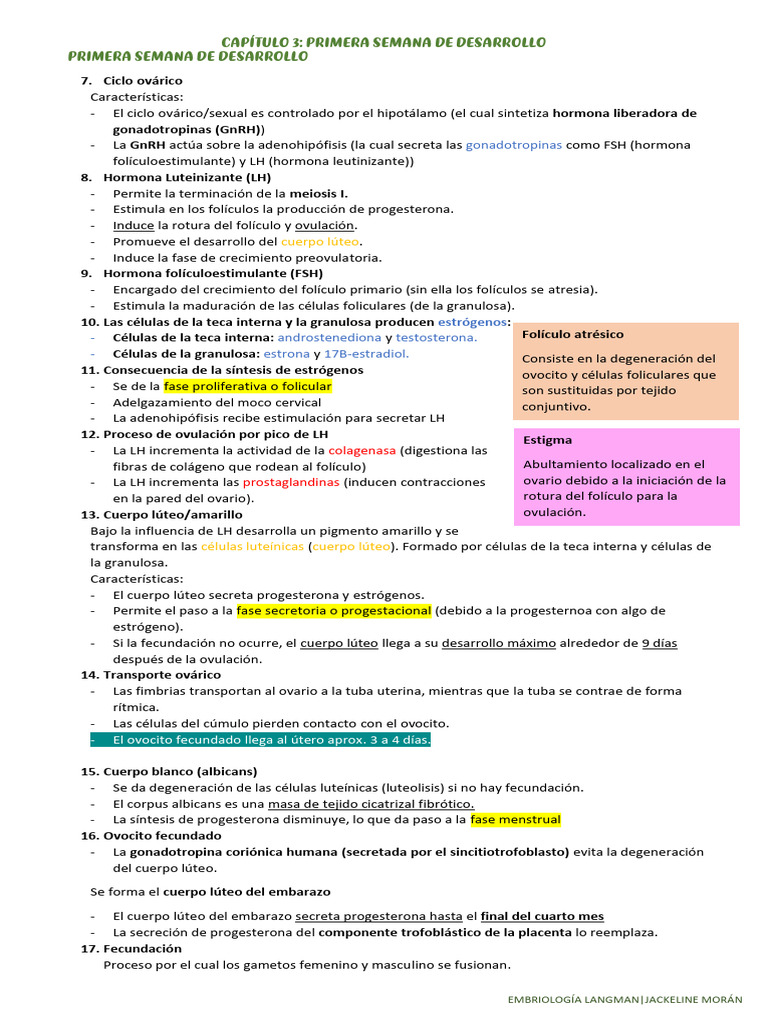 Cap 3 Primera Semana de Desarrollo | PDF | Hormona luteinizante ...