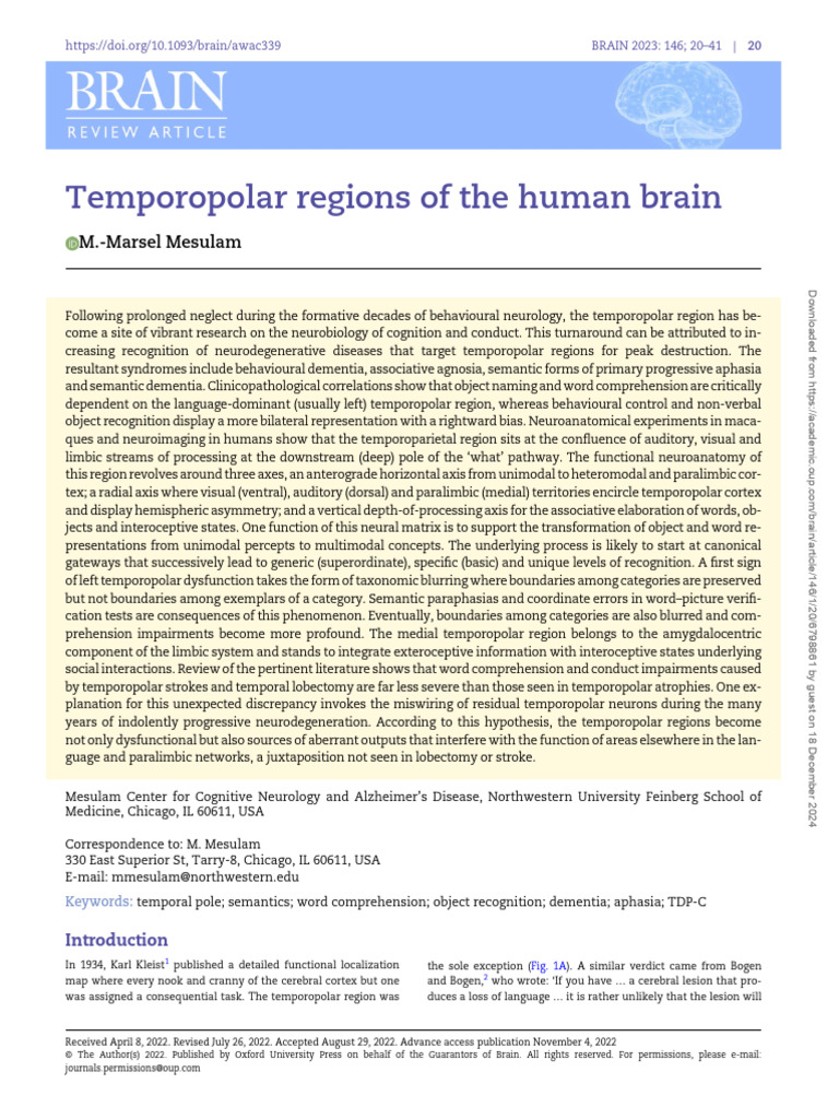 Temporopolar Regions of The Human Brain (Aphasia and Semantic ...