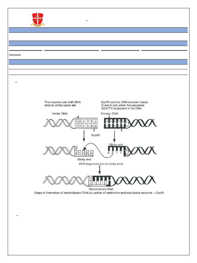 Significance of AmpR and TetR Genes | PDF | Primer (Molecular Biology ...