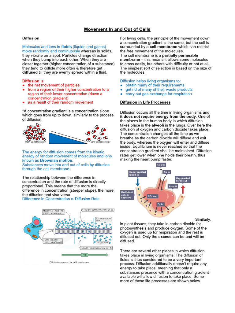 Cell Movement: Diffusion and Osmosis | PDF | Osmosis | Diffusion