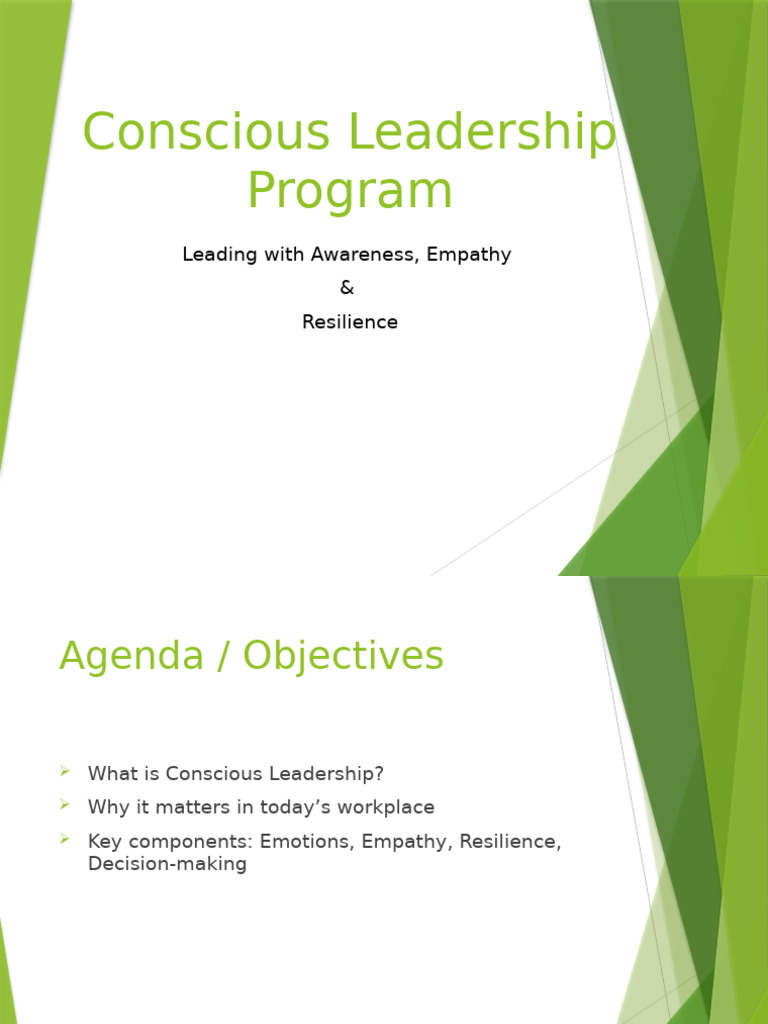 Conscious Leadership Program | PDF