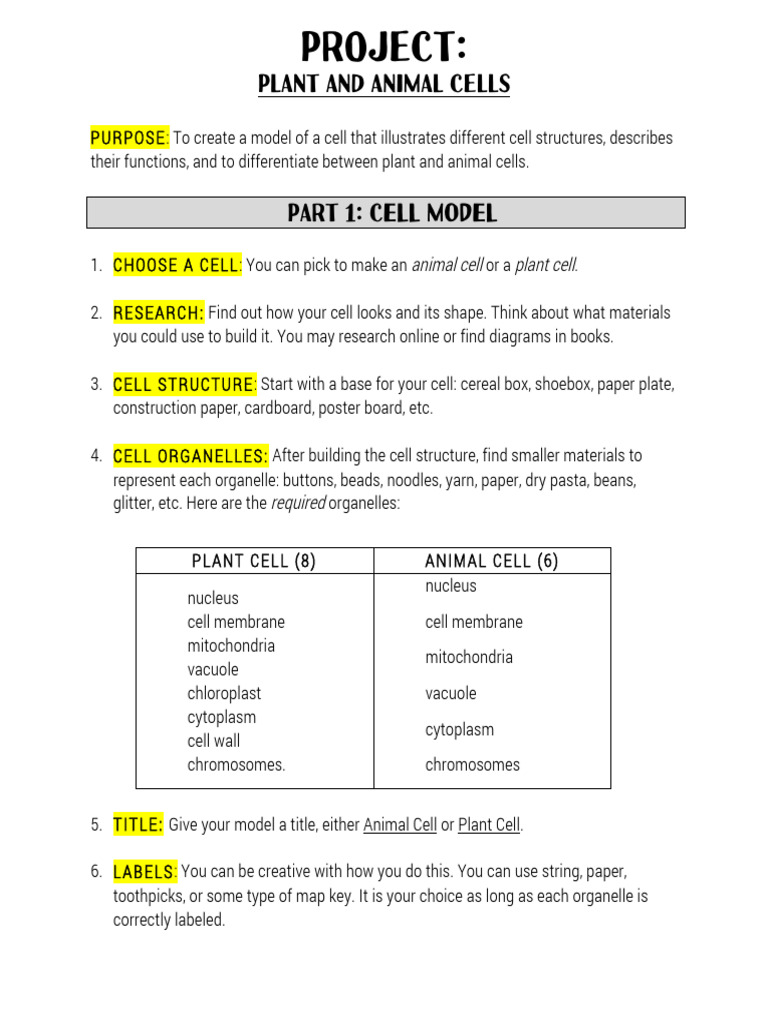 Plant and Animal Cell Model Project | PDF | Cell (Biology) | Organelle