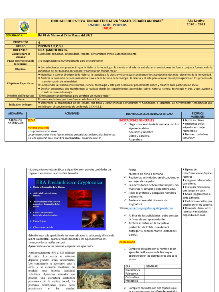 Ficha Semana 4 Proyecto 4 CCNN | PDF | Extinción | Dinosaurios