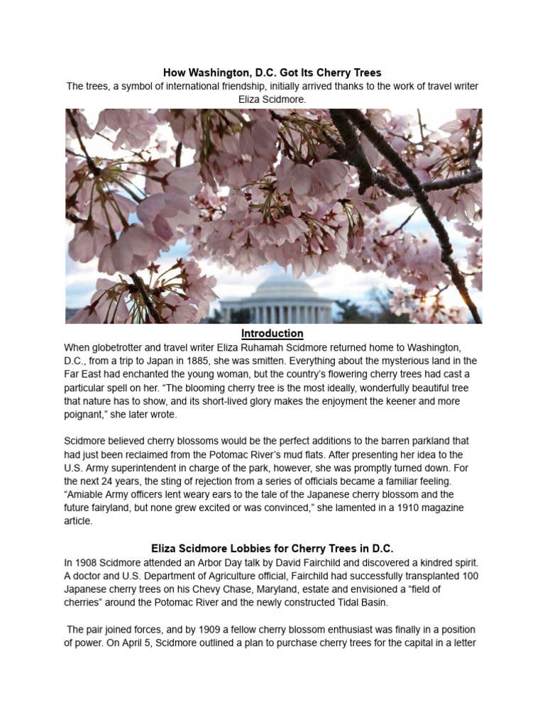 Washington D.C.'s Cherry Tree History | PDF