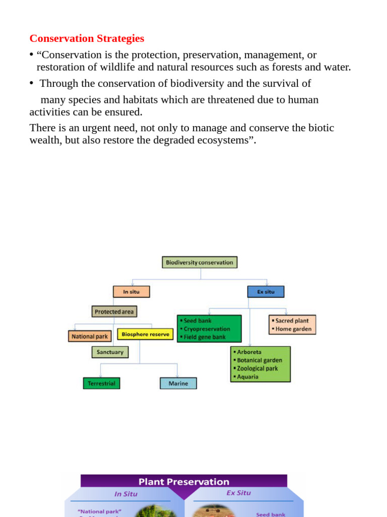 Effective Conservation Strategies Explained | PDF | Conservation ...