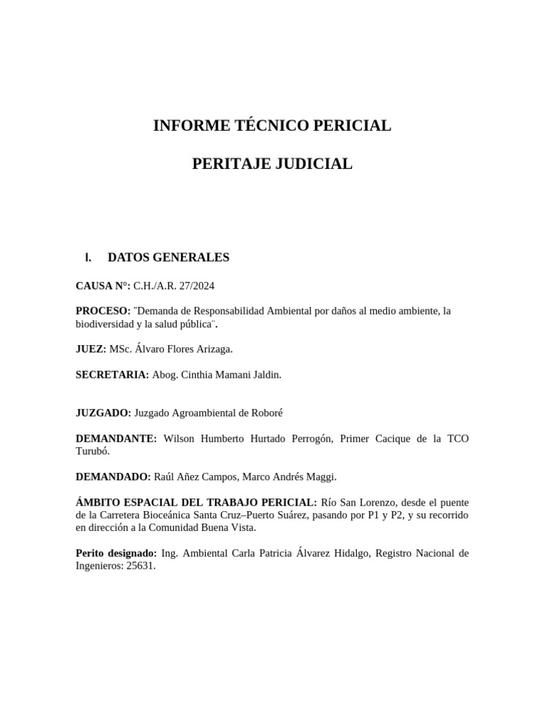 Informe Pericial sobre Daños Ambientales | PDF | Río | Entorno natural