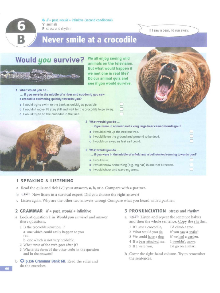 2nd Conditional Animals | PDF