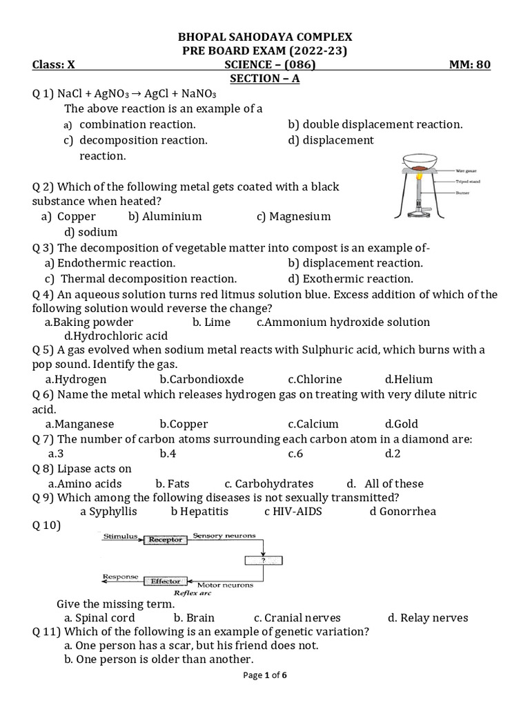 X Cbse Science Sample Paper 1 | PDF | Mirror | Chemical Reactions