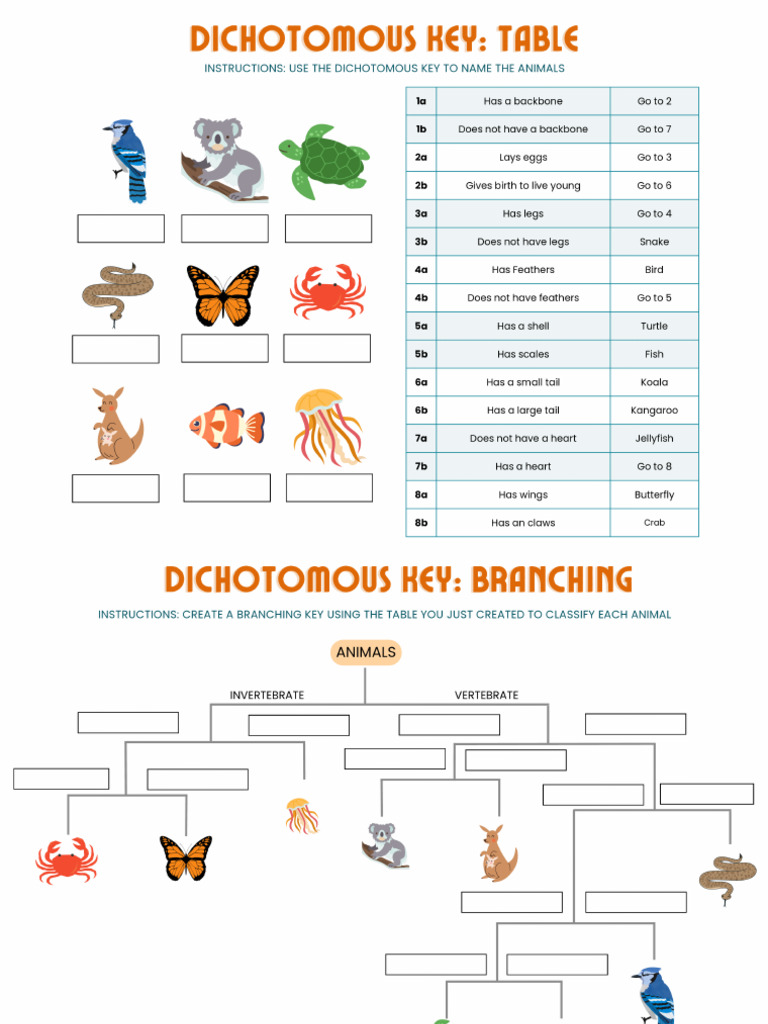 Australian Animals Dichotomous Key Science Digital Worksheet in ...