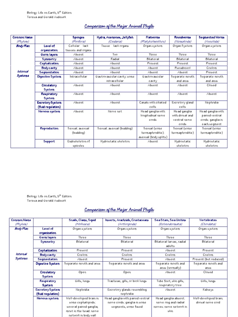 Kingdom Animalia Phylum Chart